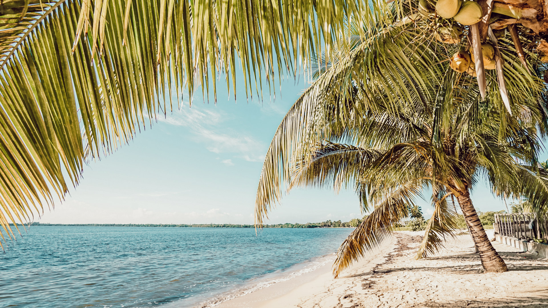 🌞Playa Larga - Playas de Canarias